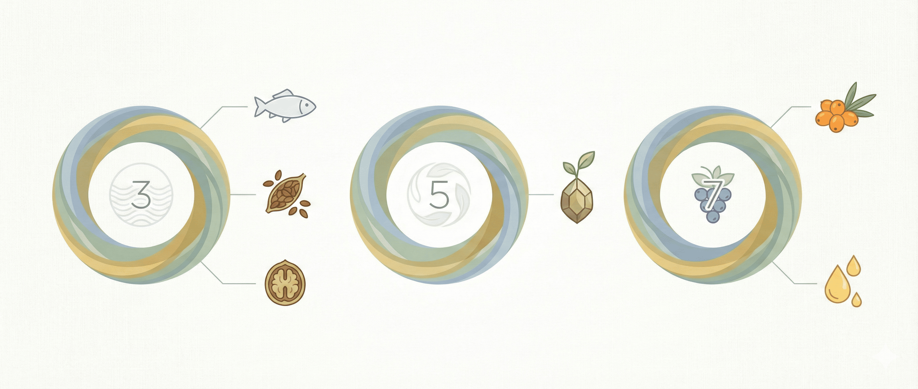 Omega 3 vs 5 vs 7: Differences, Meaning, and Why They’re Separate ...